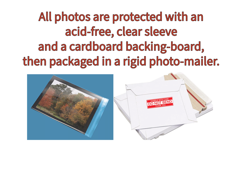 Machine Gun Kelly MGK Signed 8x10 inch Authentic Original Autograph w ...