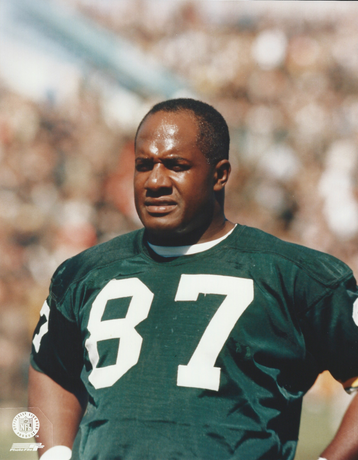 WILLIE DAVIS GREEN BAY PACKERS 8 X 10 PHOTO WITH ULTRA PRO TOPLOADER | eBay