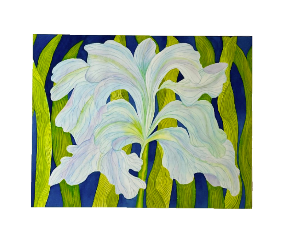 PAINTING WATERCOLOR ART FLOWER IRIS BLUE PURPLE 11X14 AND DOUBLE WHITE ...