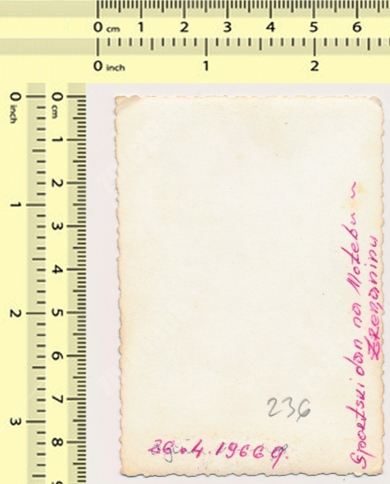 1966 Woman in Tree Lady Female Climb Abstract Portrait Vintage Photo ...