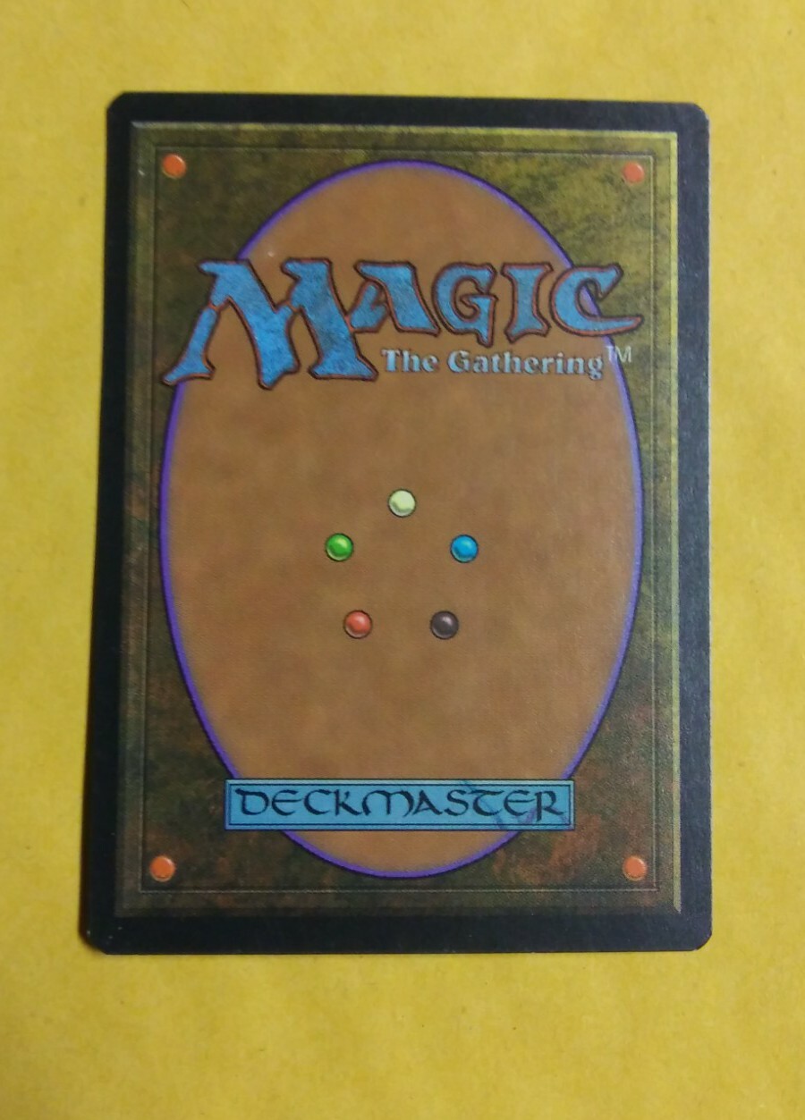 Quirion Ranger LP x1 Visions MTG Magic the Gathering 1x | eBay