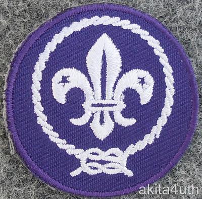 Boy Scouts of America - World Scouting Crest Patch - Cub, Webelo ...