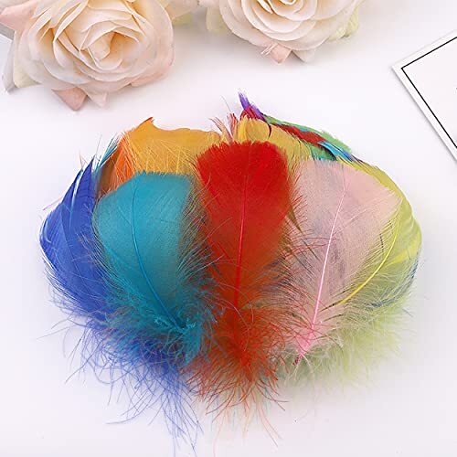 600pcs Colorful Feathers 20 Colors Craft Feathers 3-5 Inches Multi ...