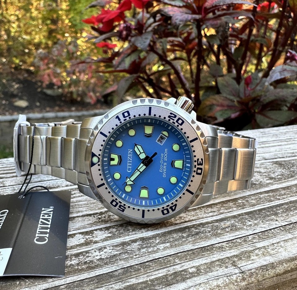 Citizen Promaster BN0165-55L Eco-Drive Ice Blue Analog Stainless Steel ...