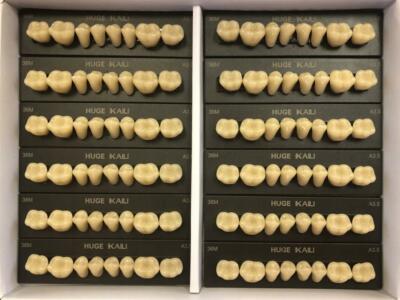HUGE KAILI Synthetic Polymer False Teeth Lower Posterior SZ36M Full Box ...