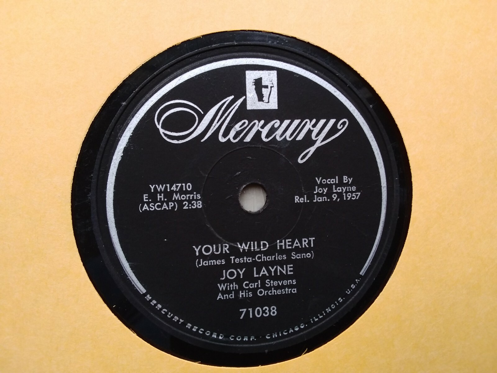Joy Layne 78rpm Single 10-inch Mercury Records #71038 Your Wild Heart ...