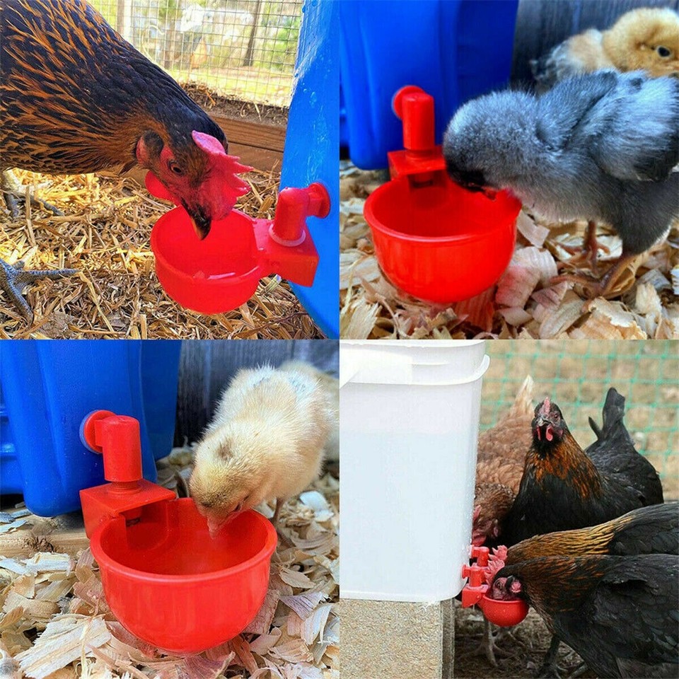 12 PCS Automatic Water Cups Poultry Drinker Waterer Chicken Duck Quail ...