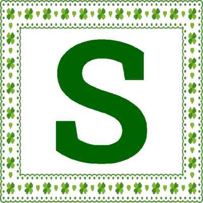 30 Custom Letter S Personalized Address Labels | eBay