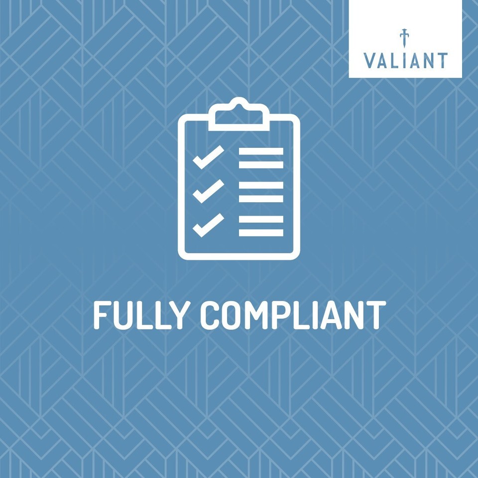 Valiant Indoor Water Feature with Flow Control and LED Lighting ...