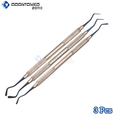 Titanium Blue Tips Dental Flat Plastic Filling Instrument Composite ...