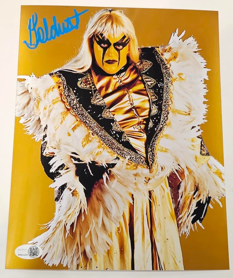 Makeup With Gold Dust Wwe WWE: Cross Rhodes : Goldust, Out Of The