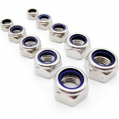 10/100X M2-M16 304 Stainless Steel Hex Nylon Insert Lock Nut Self ...