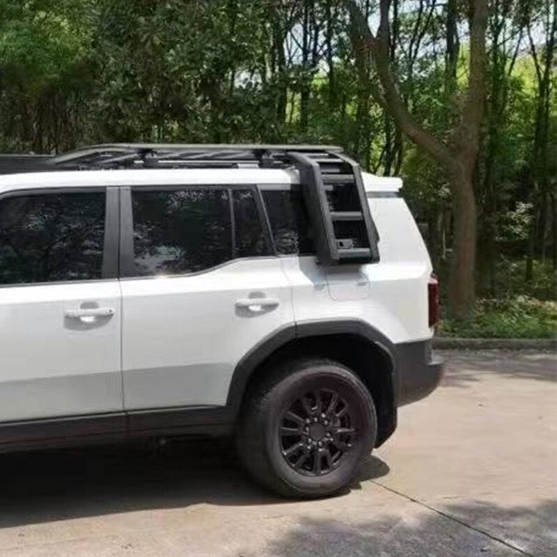 Foldable Side Window Step Ladder for Toyota Land Cruiser Prado LC250 ...