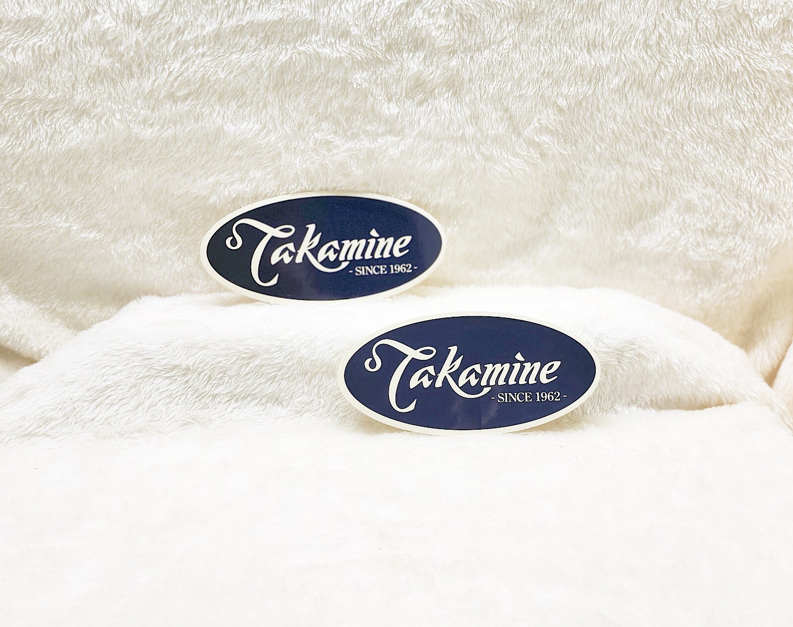 Takamine Guitar Sticker Set | eBay