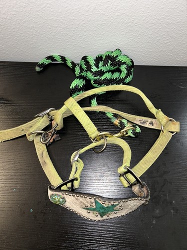 Weaver Leather Ave Horse 800-1100 Lbs Halter USA Made Horse Tack Handmade | eBay