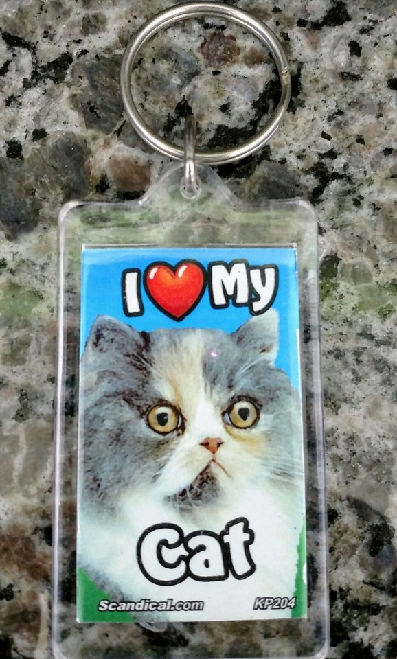 Cat Key Chain Clear Plastic Metal Ring Choose Breed/Color In Stock In ...