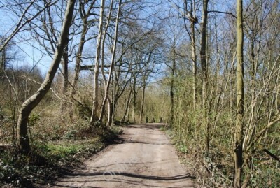 Photo 6x4 High Weald Landscape Trail near the edge of Angley Wood ...