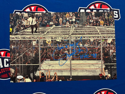 Mick Foley Autographed Mankind Top of the Hell in a Cell 11x17 Photo ...