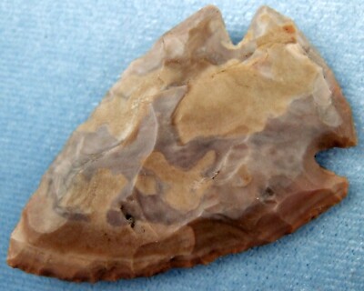 Fine Old Authentic Missouri Paoli Flint Pine Tree Point with COA ...