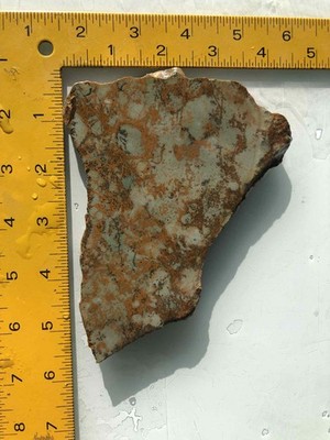 Rough Jasper Slab W/dendrites 296 G. 1/2" Thick Beautiful Lapidary ...