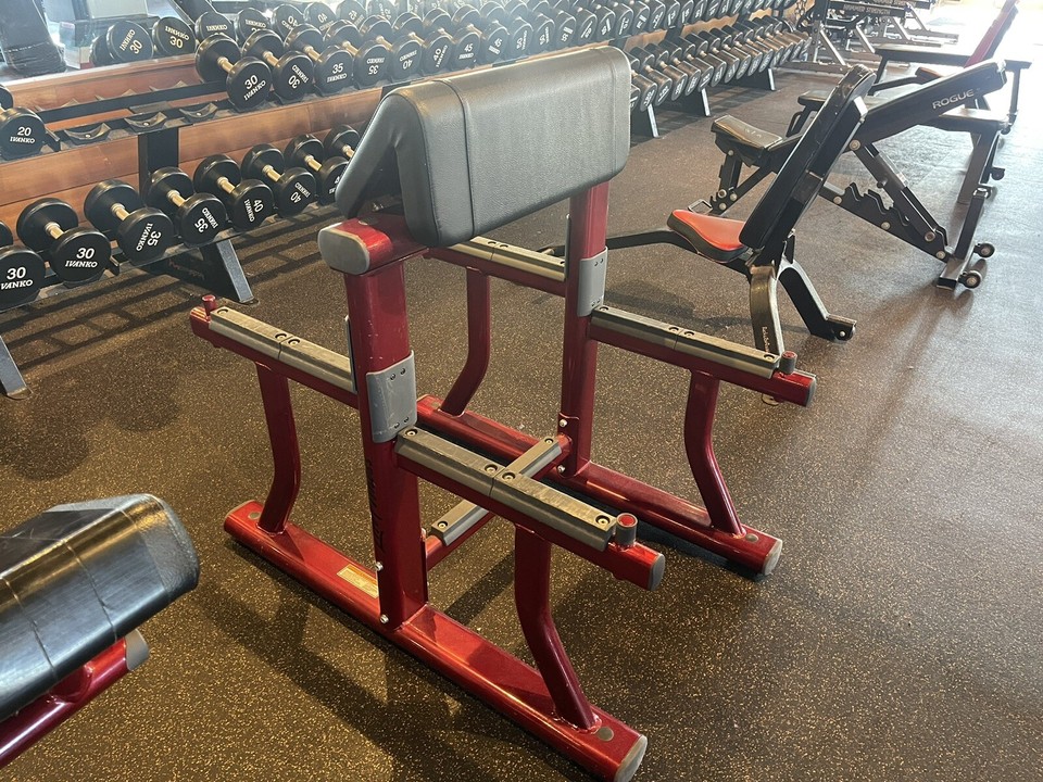 LAST CALL - HAMMER STRENGTH / LIFE FITNESS STANDING PREACHER CURL (1 Yr ...