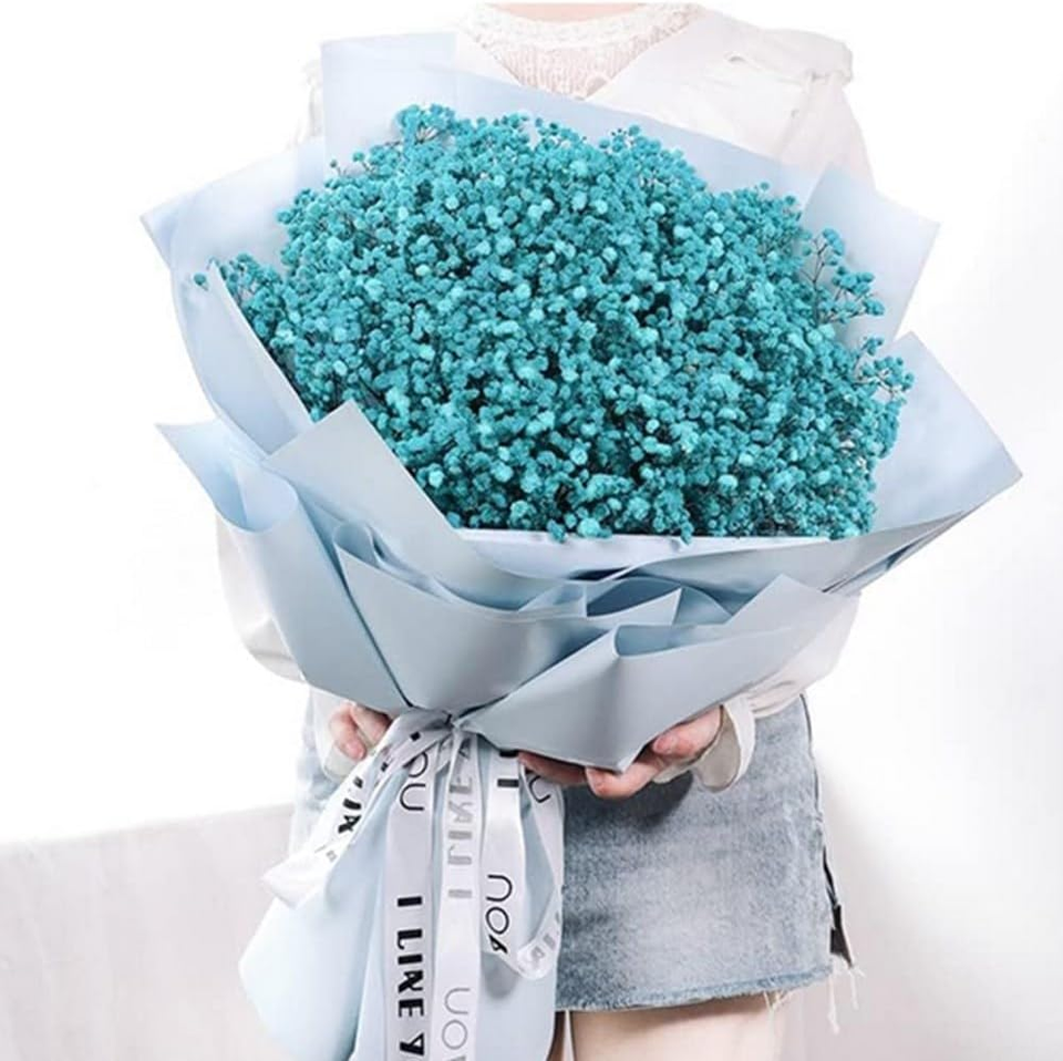 17.2 Inch Dried Flowers Baby'S Breath Bouquet - 2500+ Dry Flowers ...