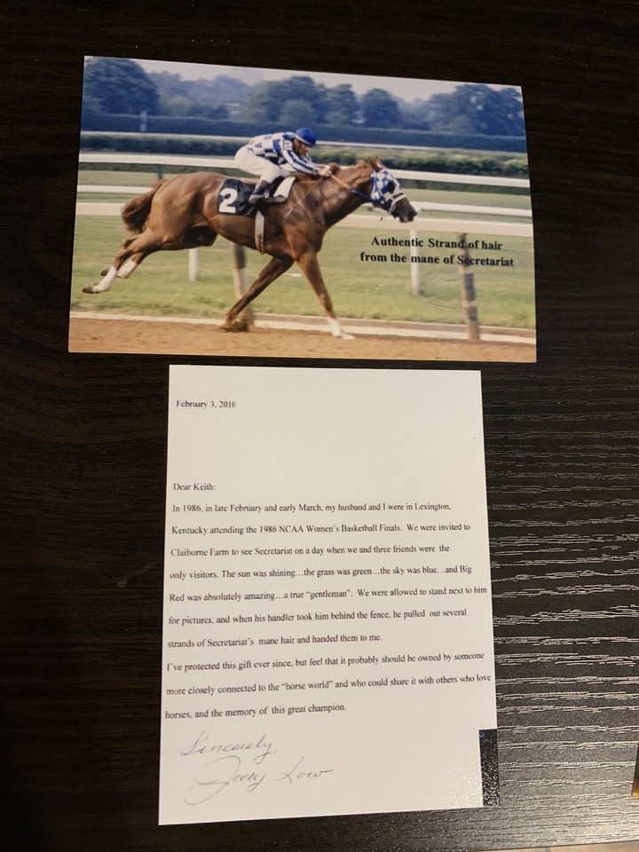 Secretariat Hair Strand Lock Relic Historic Horse Mane Kentucky Derby ...