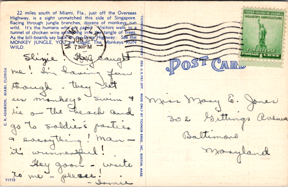 Vintage Postcard Monkey Jungle Miami Florida Animals Run Wild | eBay