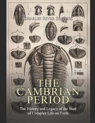 The Cambrian Period: The History and Legacy of the Start of Complex ...