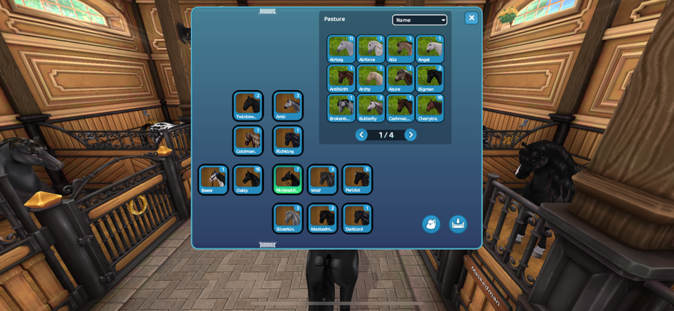 star stable account, Level 20, 60 Pferde (viele nicht mehr verfügbar ...