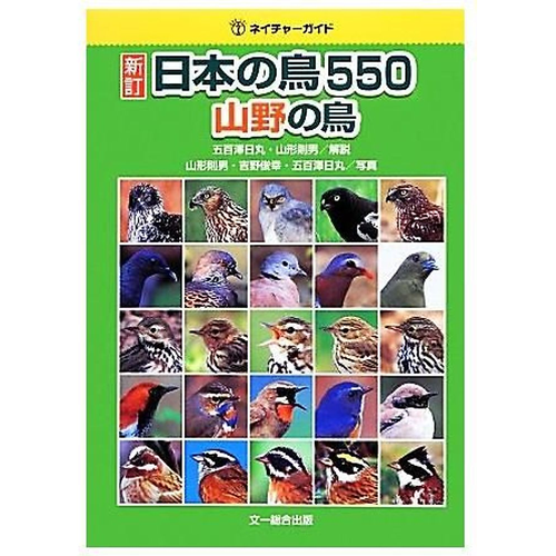 Japanese Bird 550 Mountain Nature Guide Iwazawa Himaru Yamagata Norio ...