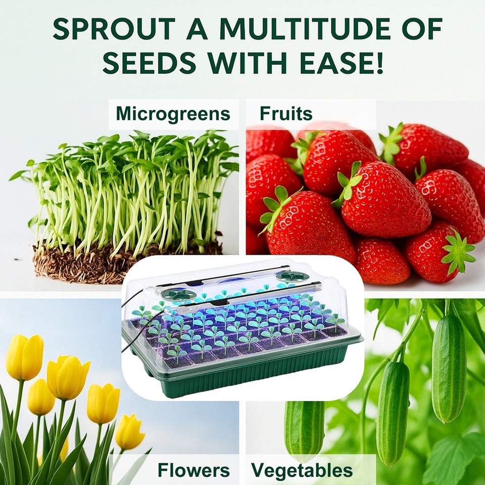 Seed Starter Tray with Grow Light, 2 Packs 80 Cells Seed Starting Kit ...