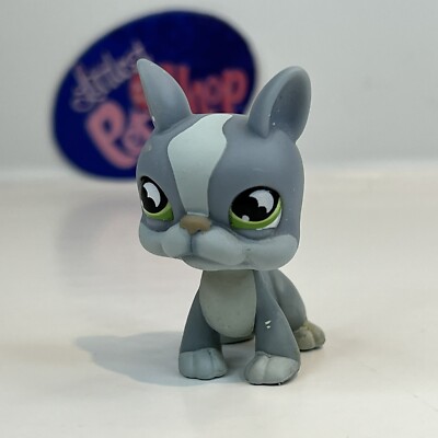 BOSTON TERRIER DOG #857 - Authentic Littlest Pet Shop - Hasbro LPS | eBay
