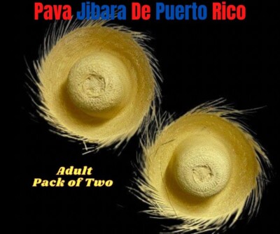 Pack of 2 Adult Jibaro Pava Hat, Pava Jibara De Puerto Rico, Jibaro ...