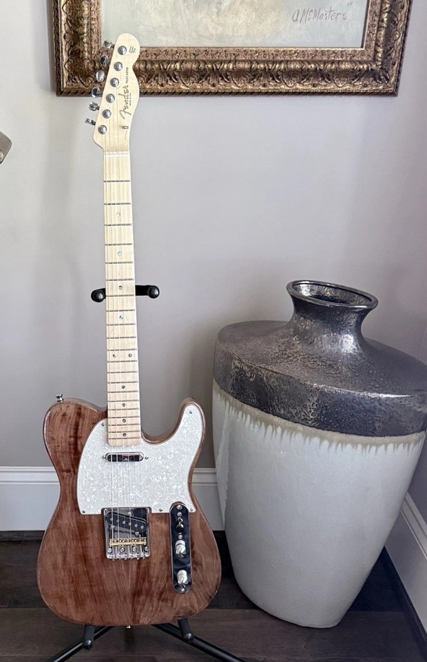 Partscaster - Custom Build | eBay