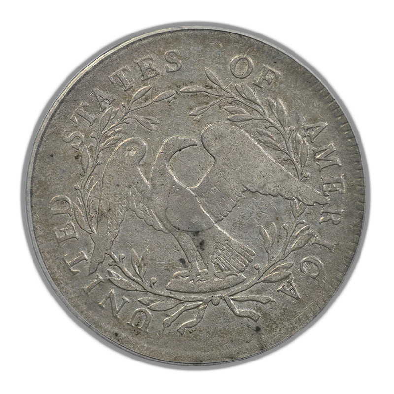 1795 Flowing Hair Dollar $1 PCGS VG10 - Silver Plug | eBay