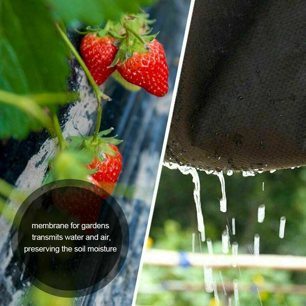 Weed Control Fabric Membrane Garden Landscape Guard Cover Sheet Protect ...