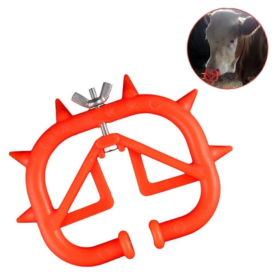 Calving Weaning Feeding Calf Weaner Nose Plastic Ring Fit Bovine Cow ...