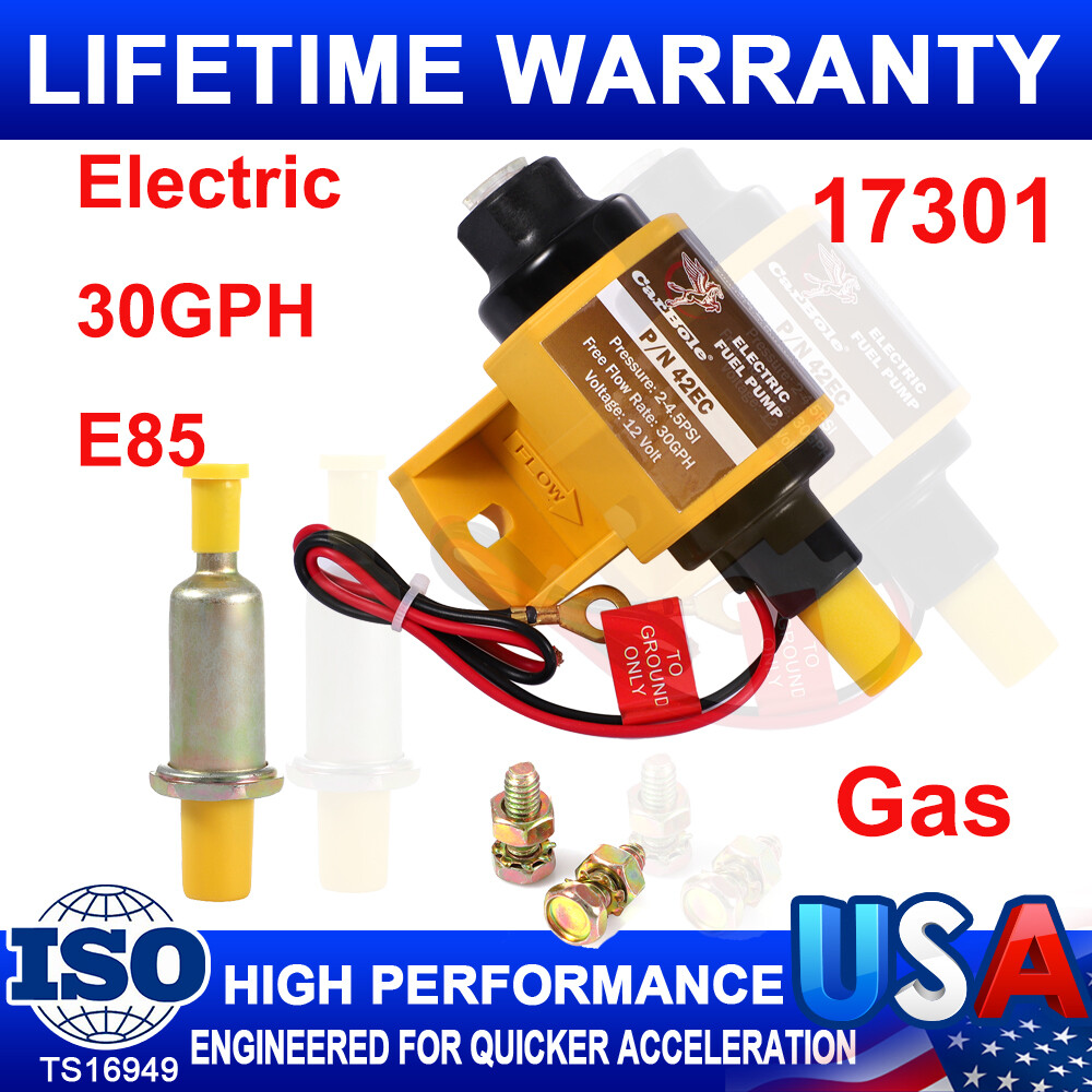Universal 12V Electric Fuel Pump 17301 Micro 30Gph 2-4.5 Psi 5/16" Barb ...