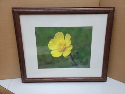 Framed Matted Signed Yellow Flower Picture Wall Hanging Meadow ...