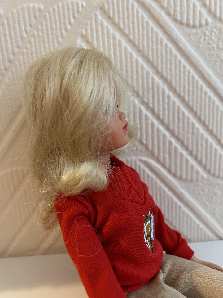 Pedigree Sindy 70’s Pretty Pose doll in Pony Club Outfit with Her Horse ...