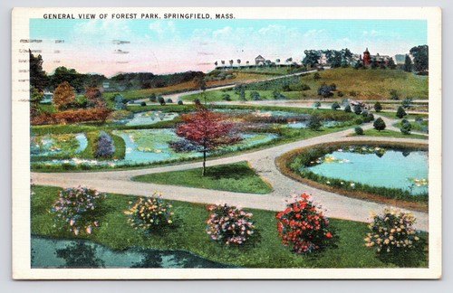 1930s General View Forest Park Ponds Paths Springfield Massachusetts MA ...