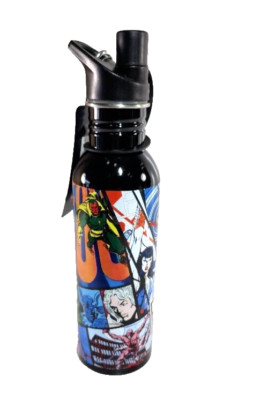 MARVEL AVENGERS STAINLESS STEEL DRINK BOTTLE 750ML | eBay Australia