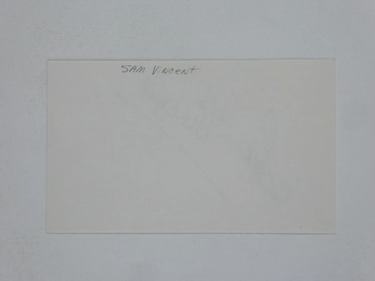 Samuel Vincent Voice Actor