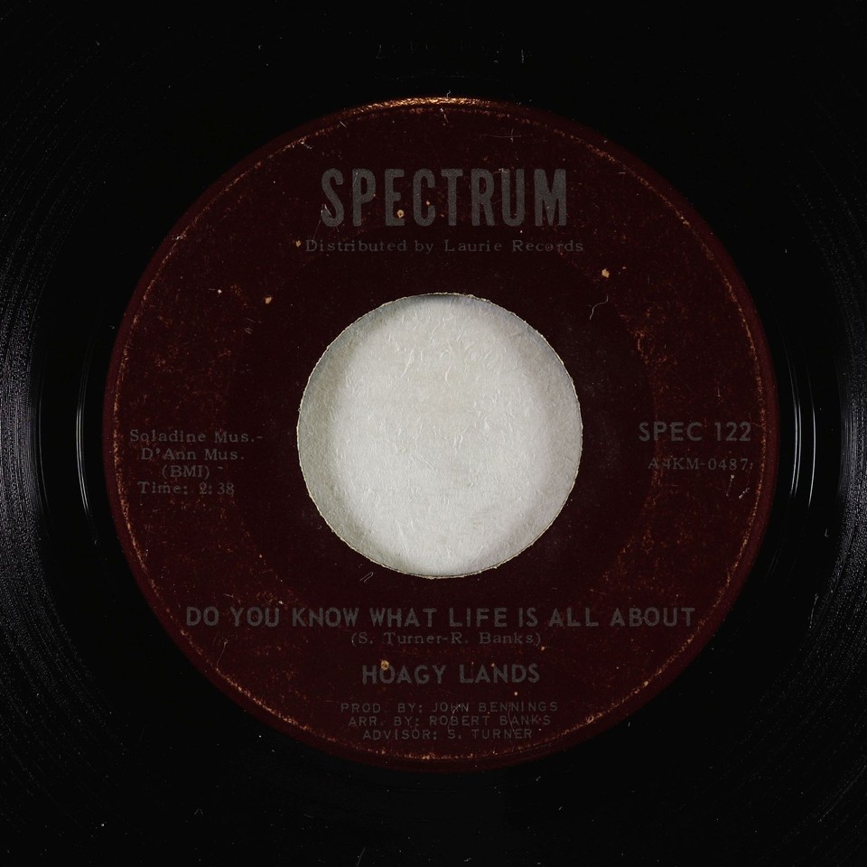 Northern Soul 45 - Hoagy Lands - Why Didn't You Let/Do You Know ...