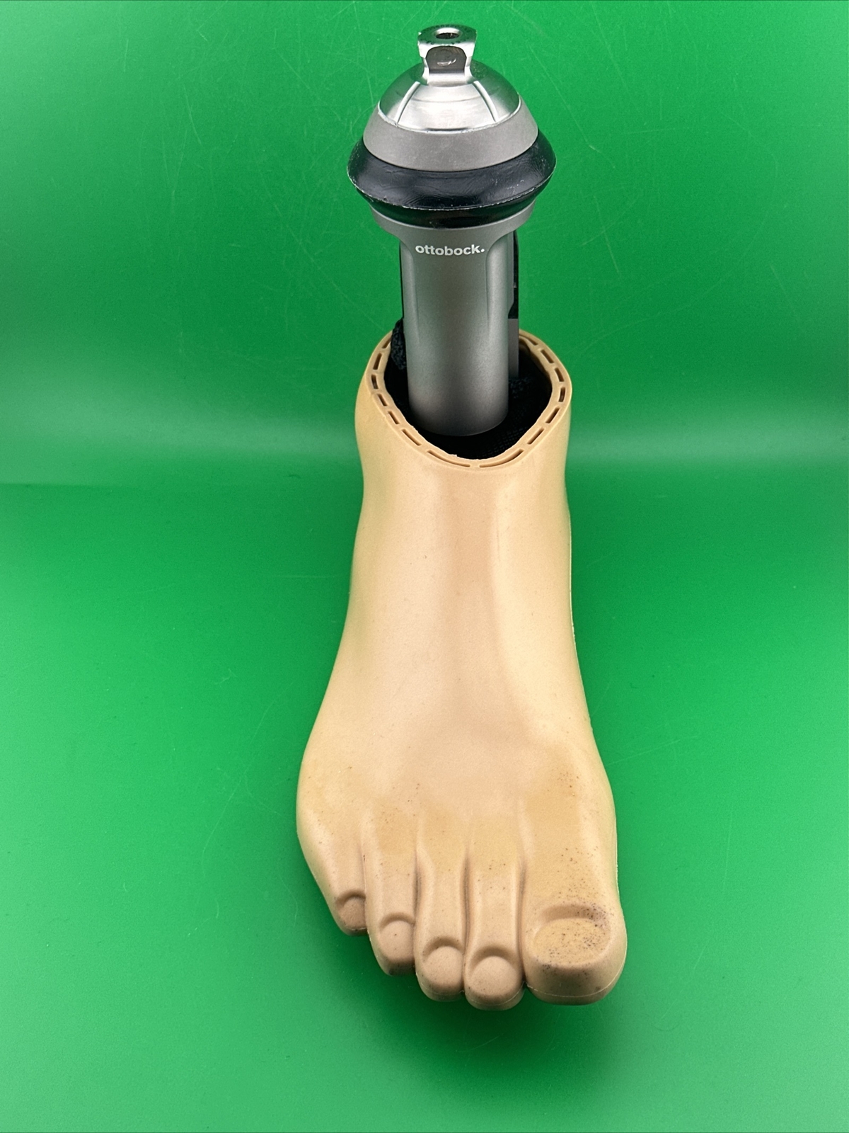 Ottobock Otto Bock Taleo Vertical Prosthetic Foot. 1C51 Prosthetic Foot ...