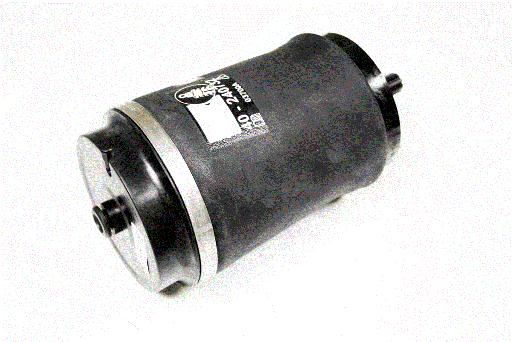 Land Rover Range Rover 07-12 Rear Air Spring Strut RKB500240 Genuine ...