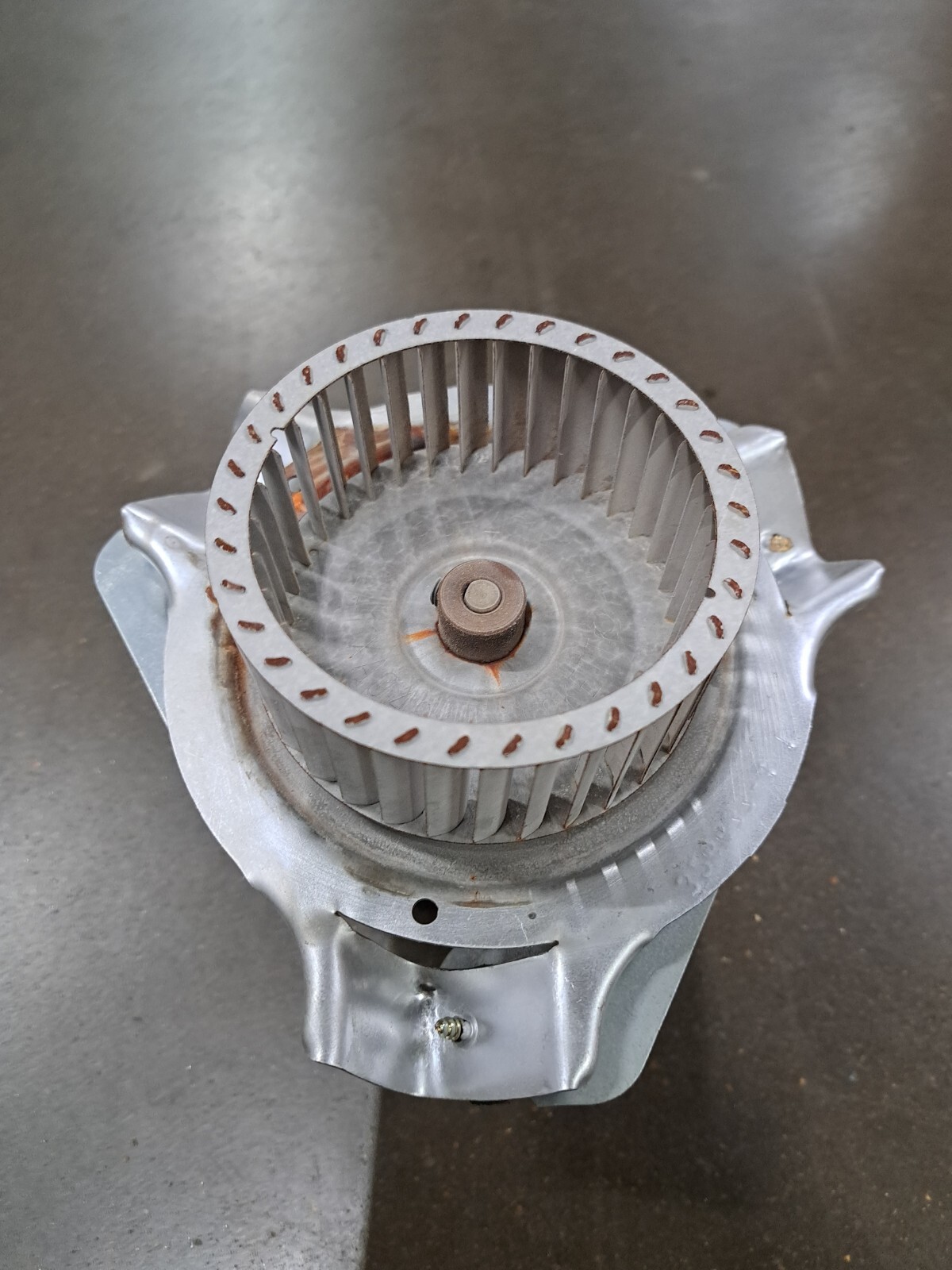 JAKEL J238-100-10108 Draft Inducer Blower Motor Assembly HC21ZE121A | eBay