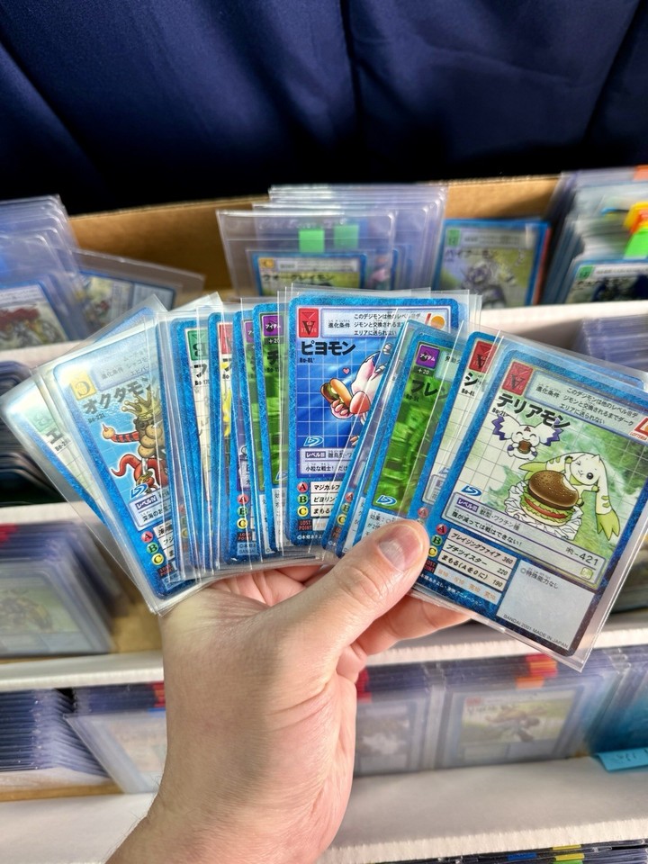 HUGE 500+ Digimon Digital Monster Hyper Colosseum Card Lot! Holos ...