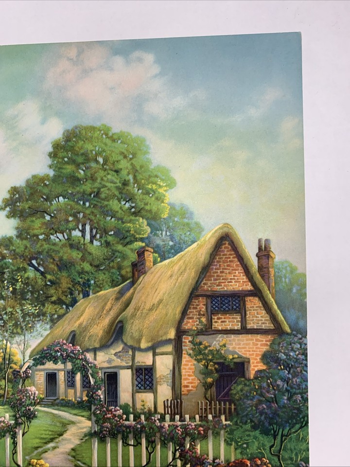 CHEERY!! Original Vintage Harry Hadland 12x15 Garden Print Vivid Color ...